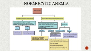 Approach to anemia | PPTX