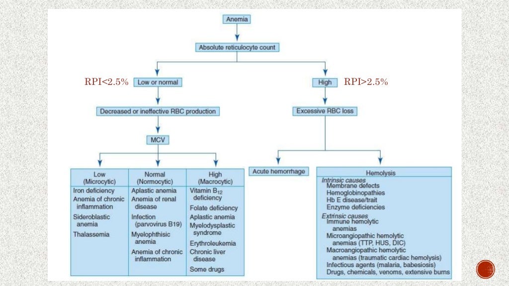 Approach to anemia
