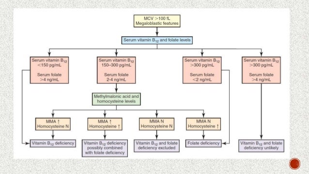 Approach to anemia