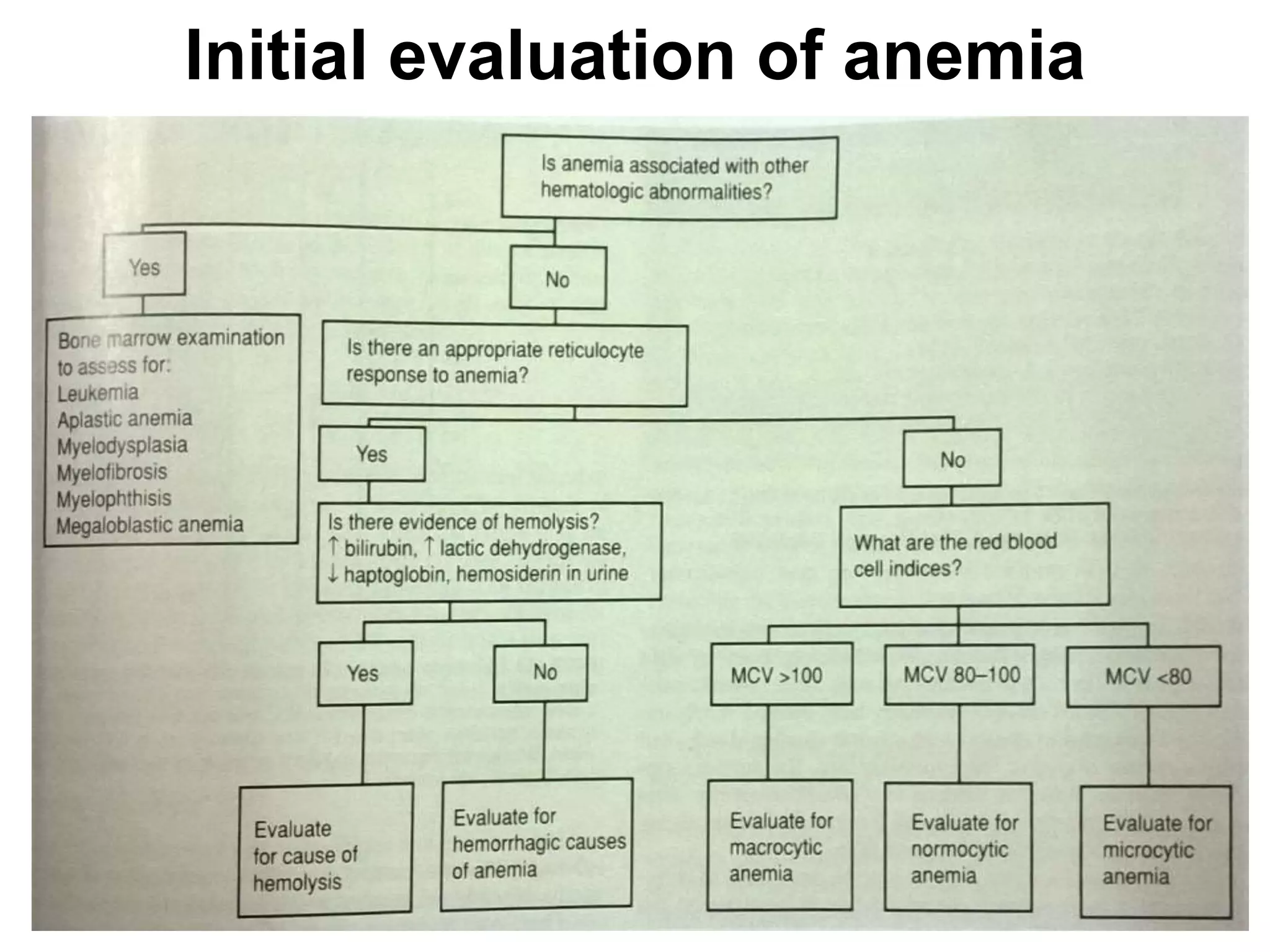 Approach to anemia | PPTX