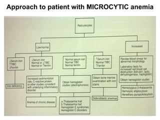 Approach to anemia | PPTX