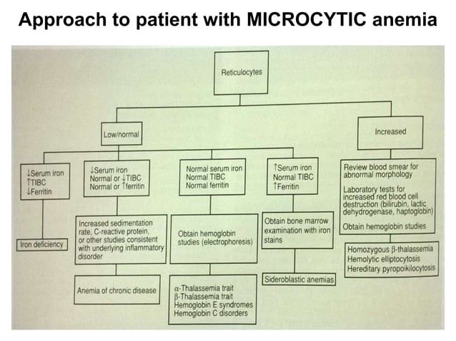 Approach to anemia | PPTX