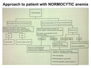 Approach to anemia | PPTX