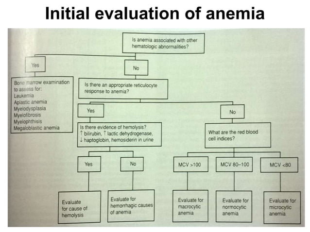 Approach to anemia | PPTX