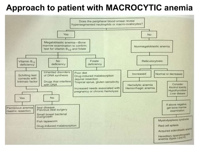 Approach to anemia | PPTX