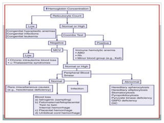 Approach to anemia | PPTX