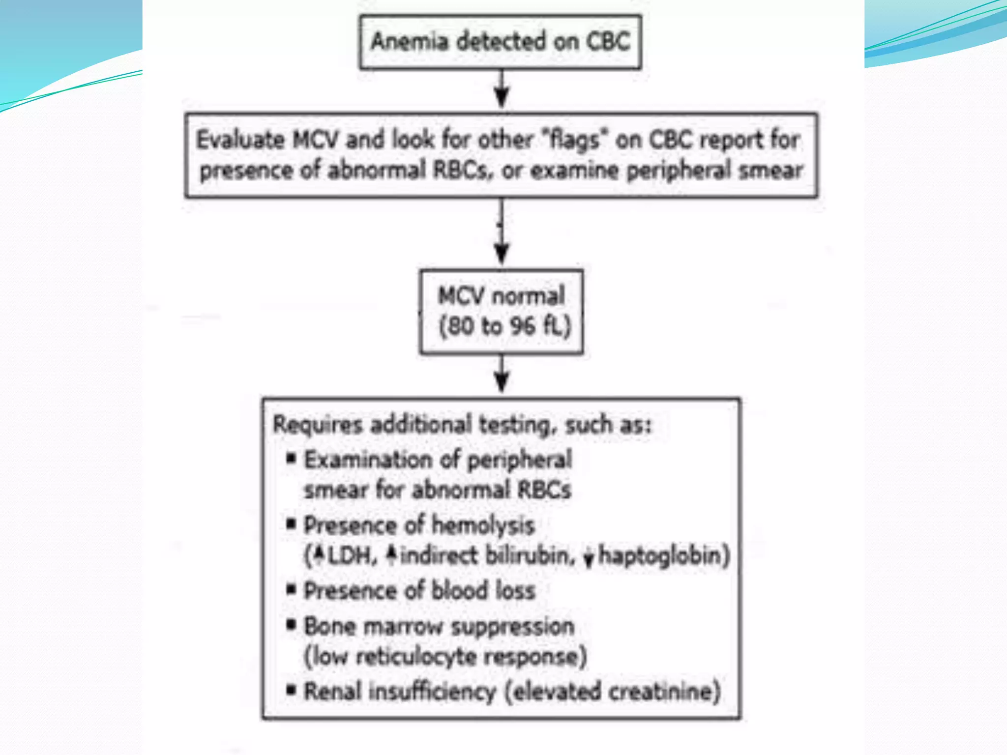 Approach to anemia | PPTX