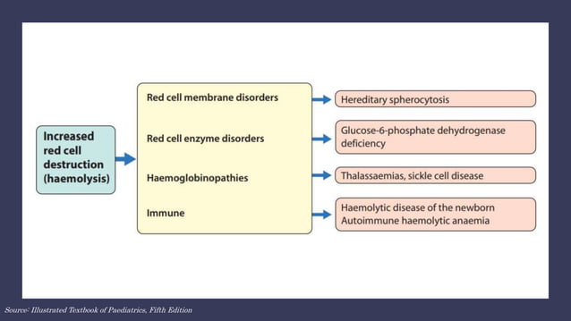 Approach to Pediatric Anemia | PPTX | Blood Disorders | Diseases and ...