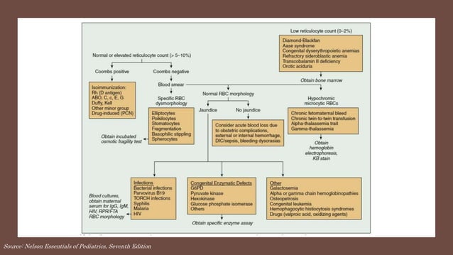 Approach to Pediatric Anemia | PPTX | Blood Disorders | Diseases and ...