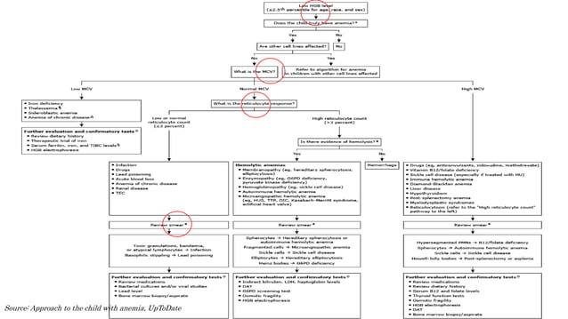 Approach to Pediatric Anemia | PPTX | Blood Disorders | Diseases and ...