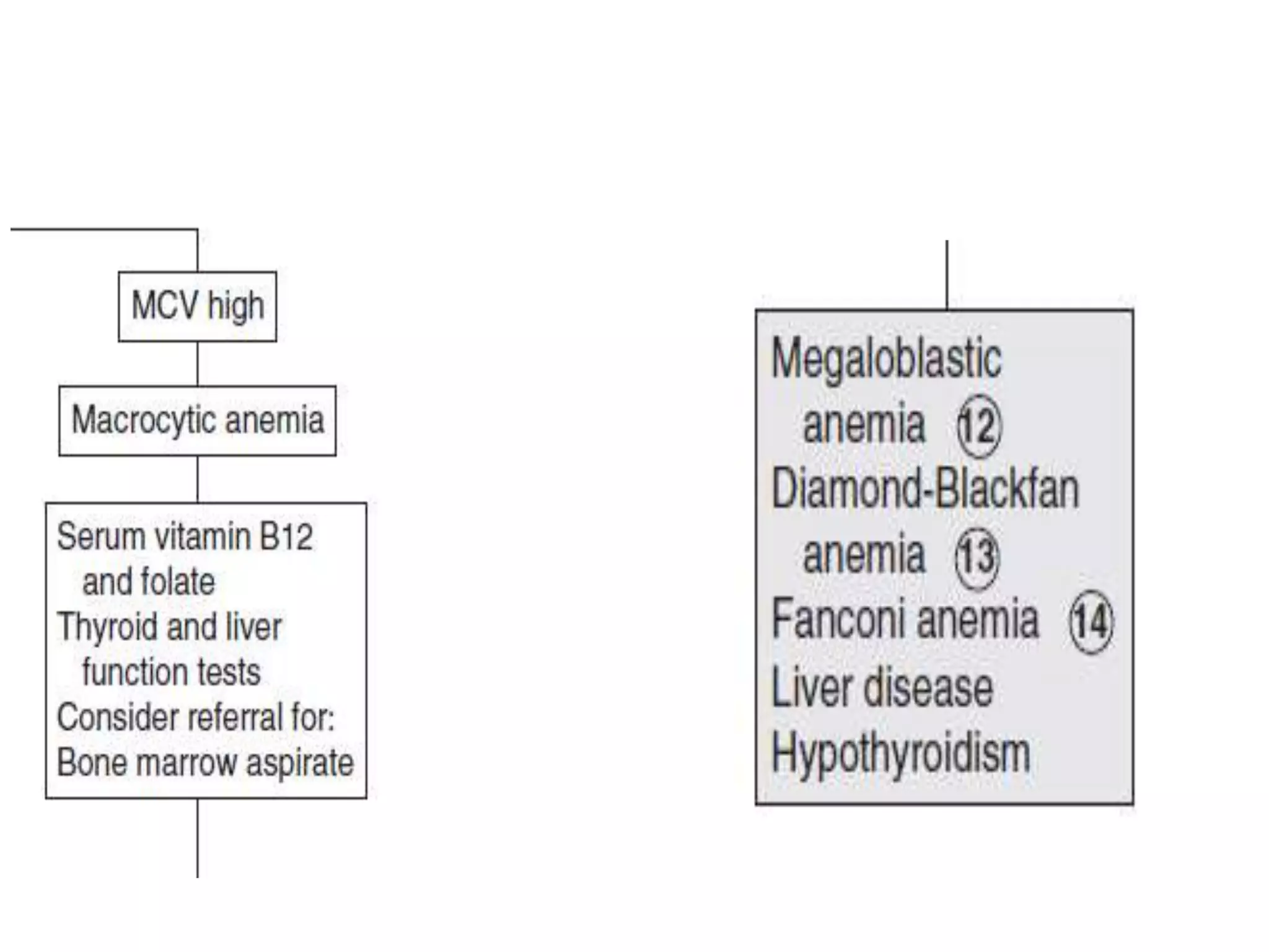 Approach to anemia | PPT