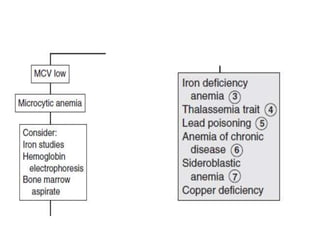Approach to anemia | PPT