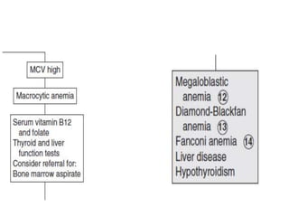 Approach to anemia | PPTX