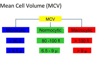 approach to anemia.pptx