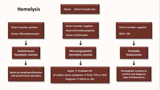 APPROACH TO ANEMIA MEDICINE BLOOD DISORDERS | PPT
