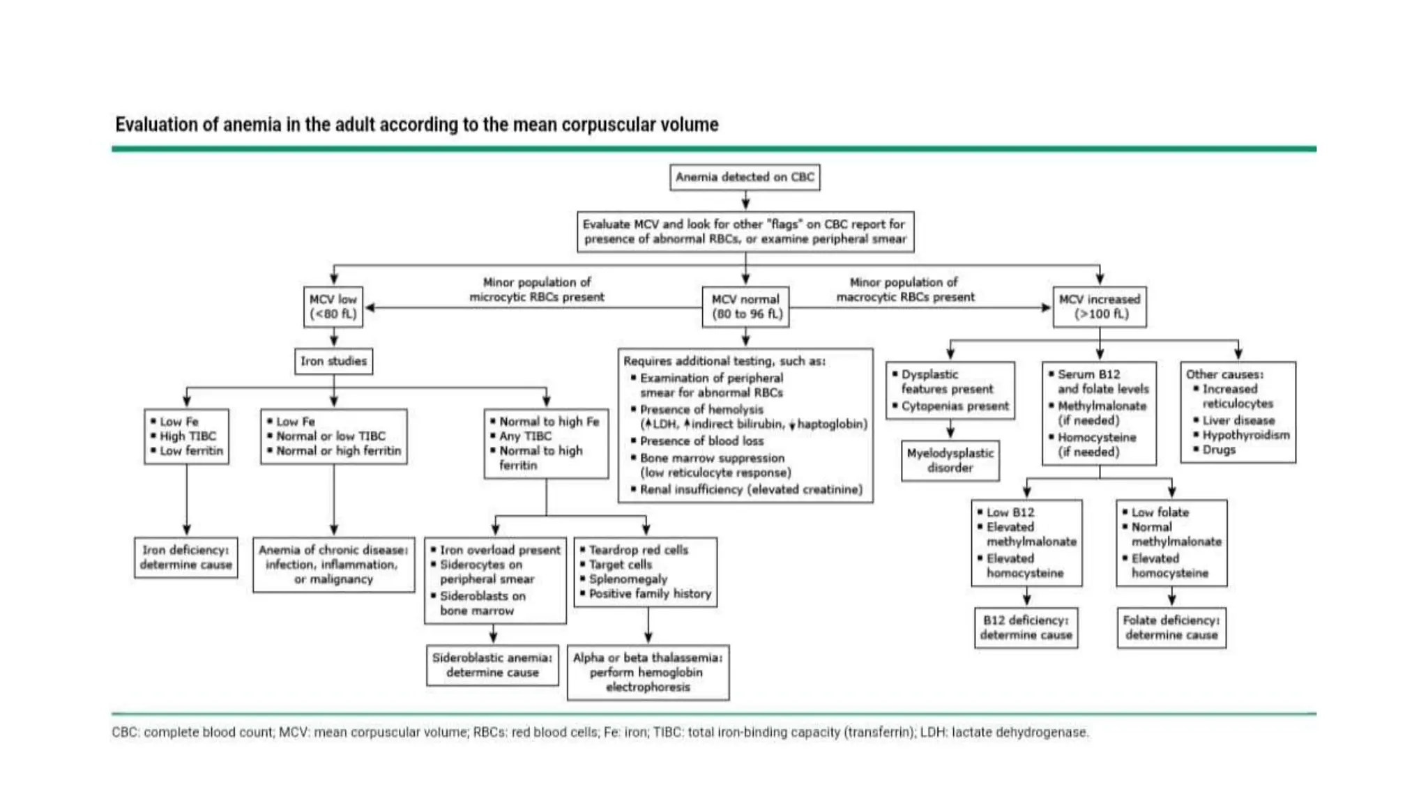 Approach to Anemia - Copy.pptx how to diagnose | PPT