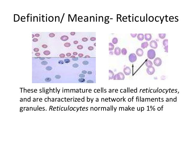 Approach to anemia and jaundice