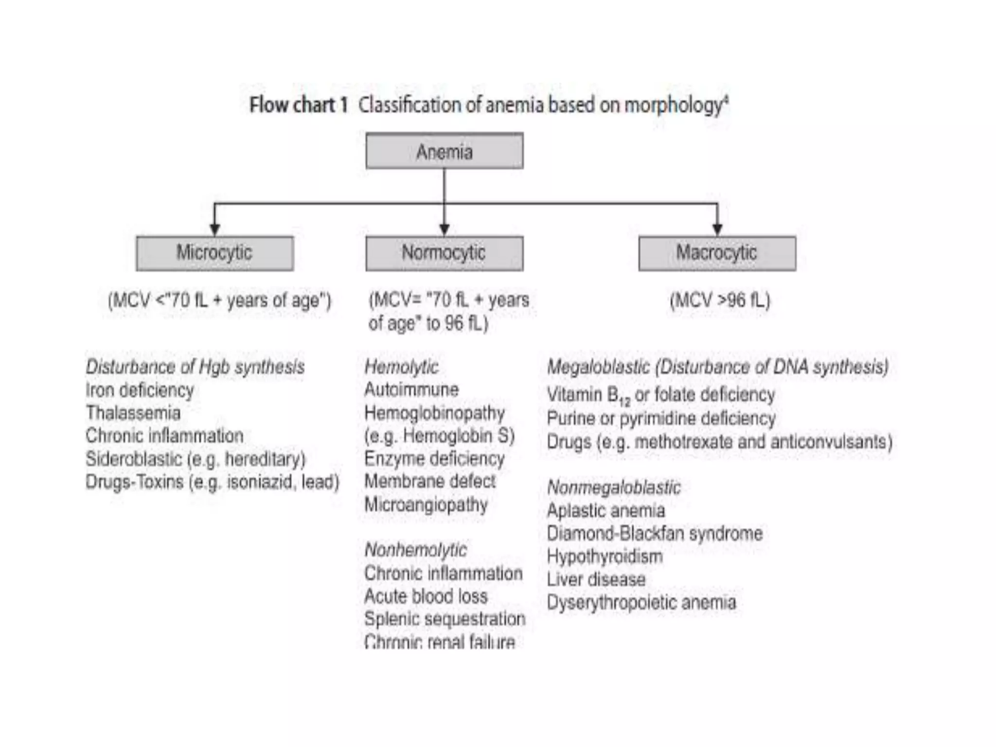 Approach to anemia in children | PPT