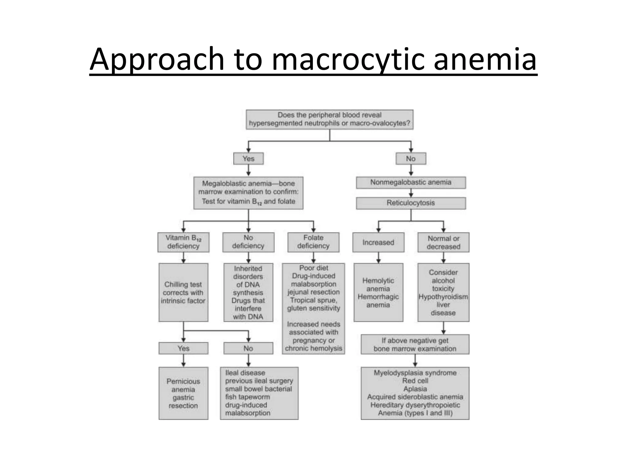 Approach to anemia in children | PPTX