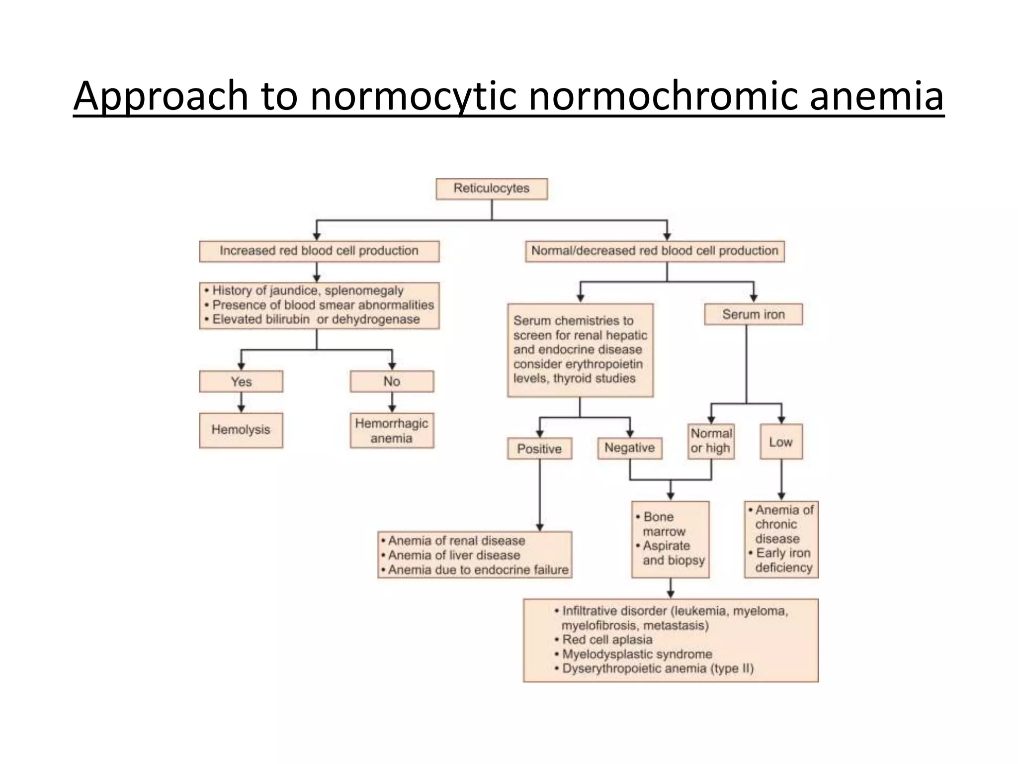 Approach to anemia in children | PPTX