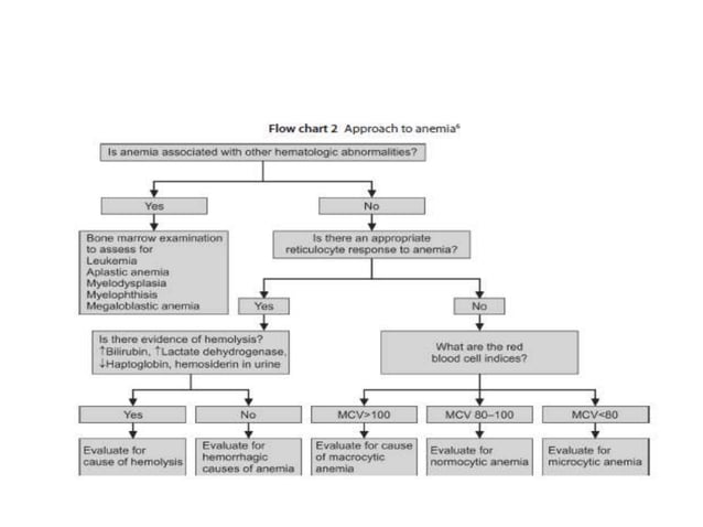 Approach to anemia in children | PPTX | Blood Disorders | Diseases and ...