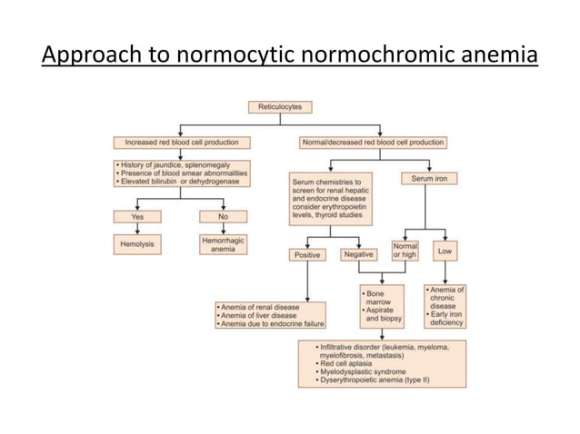 Approach to anemia in children | PPTX | Blood Disorders | Diseases and ...