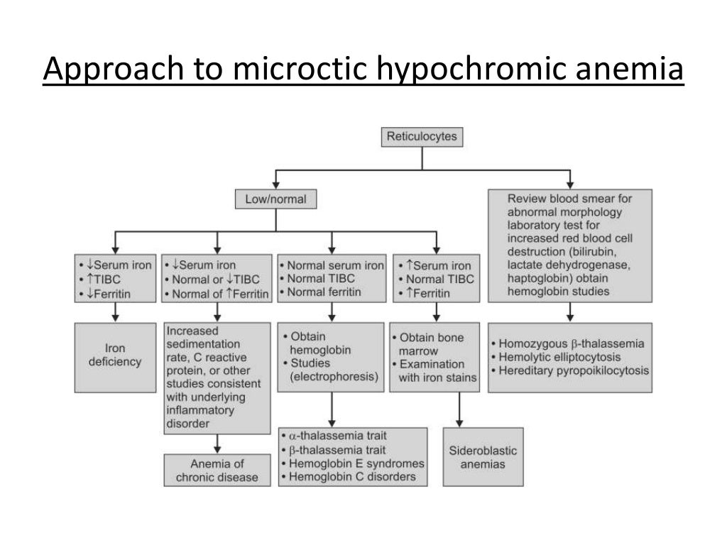 Approach to anemia in children