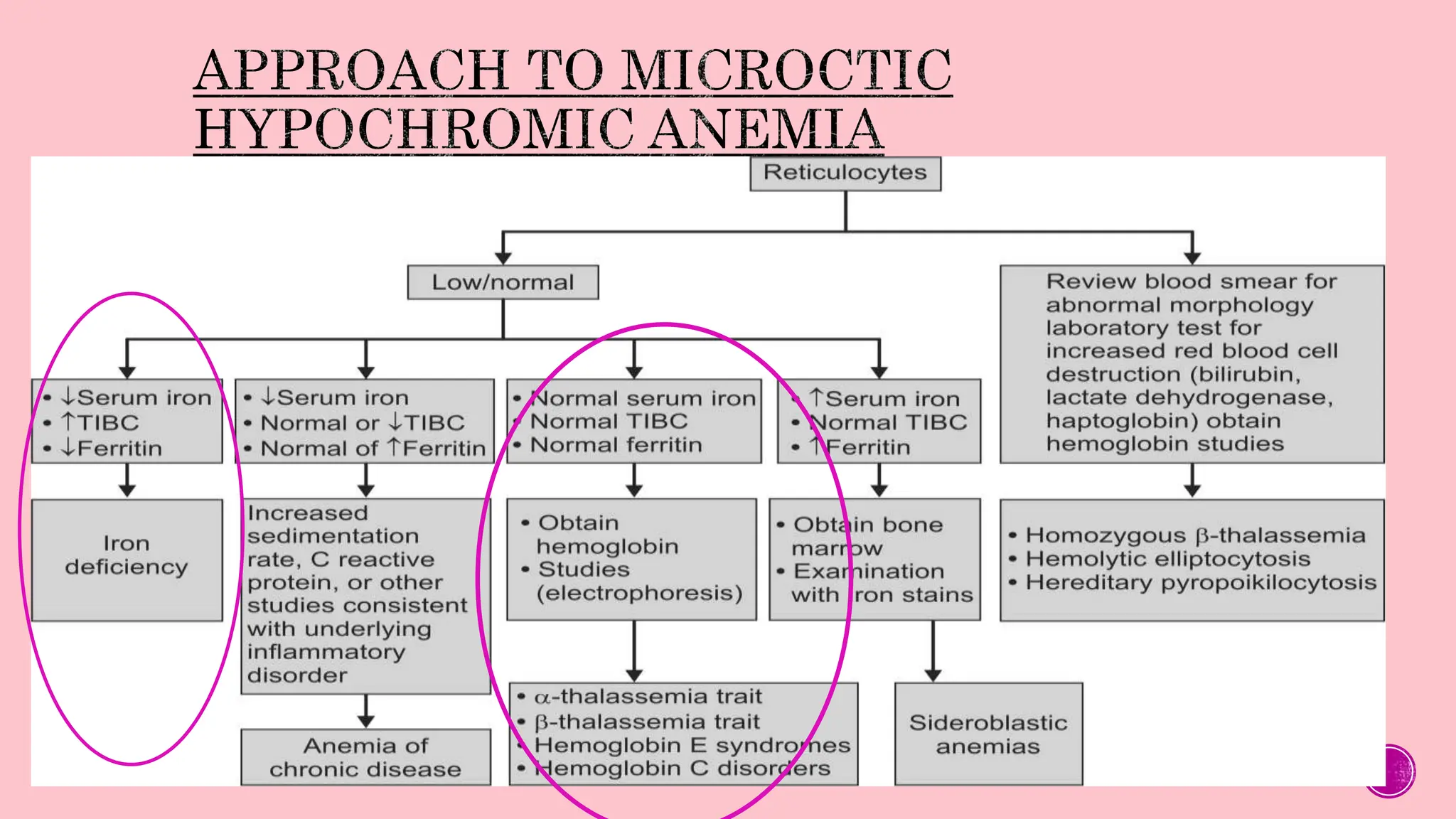 approach to anemia in children: IDA , MEGALOBLASTIC ANEMIA AND APLASTIC ...