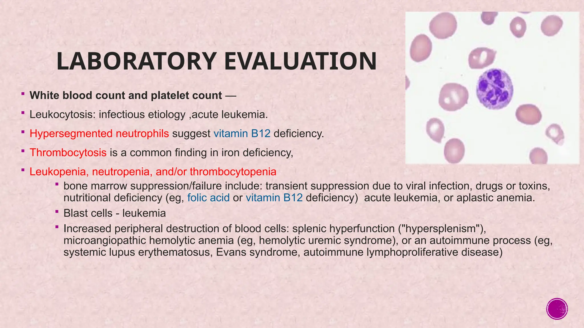 approach to anemia in children-undergraduates lecture | PPT