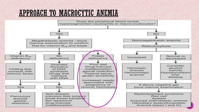 approach to anemia in children-undergraduates lecture | PPT