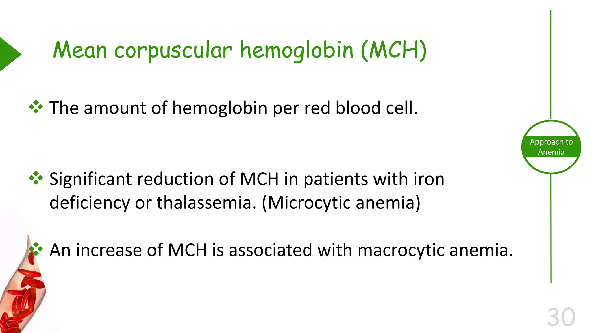 Approach to anemia ppt | PDF