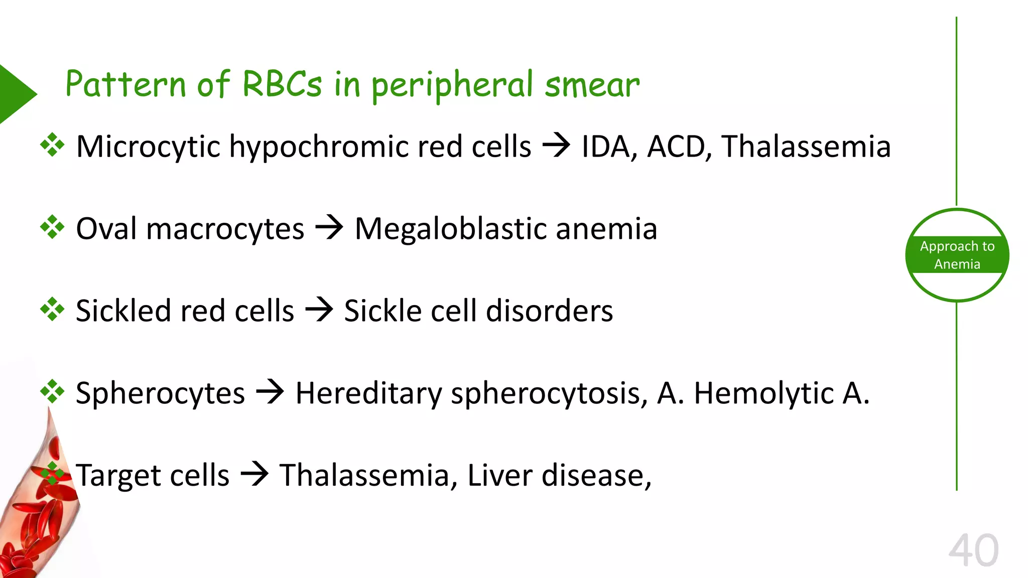 Approach to anemia ppt | PDF