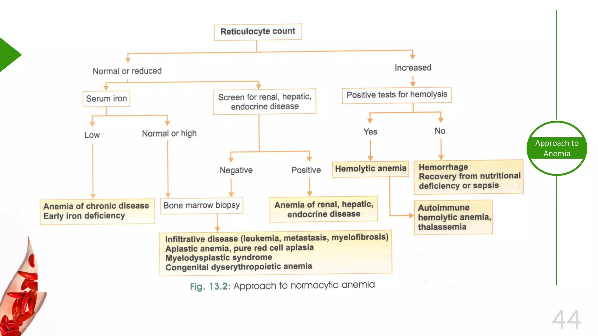 Approach to anemia ppt | PDF