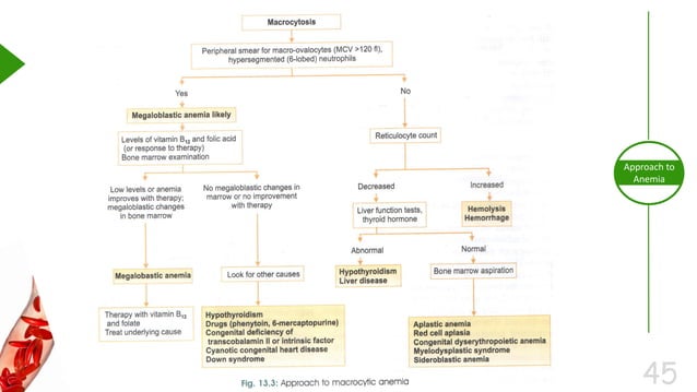 Approach to anemia ppt | PDF
