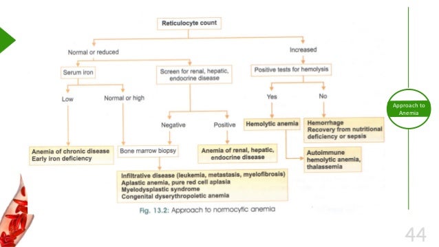 Approach to anemia ppt