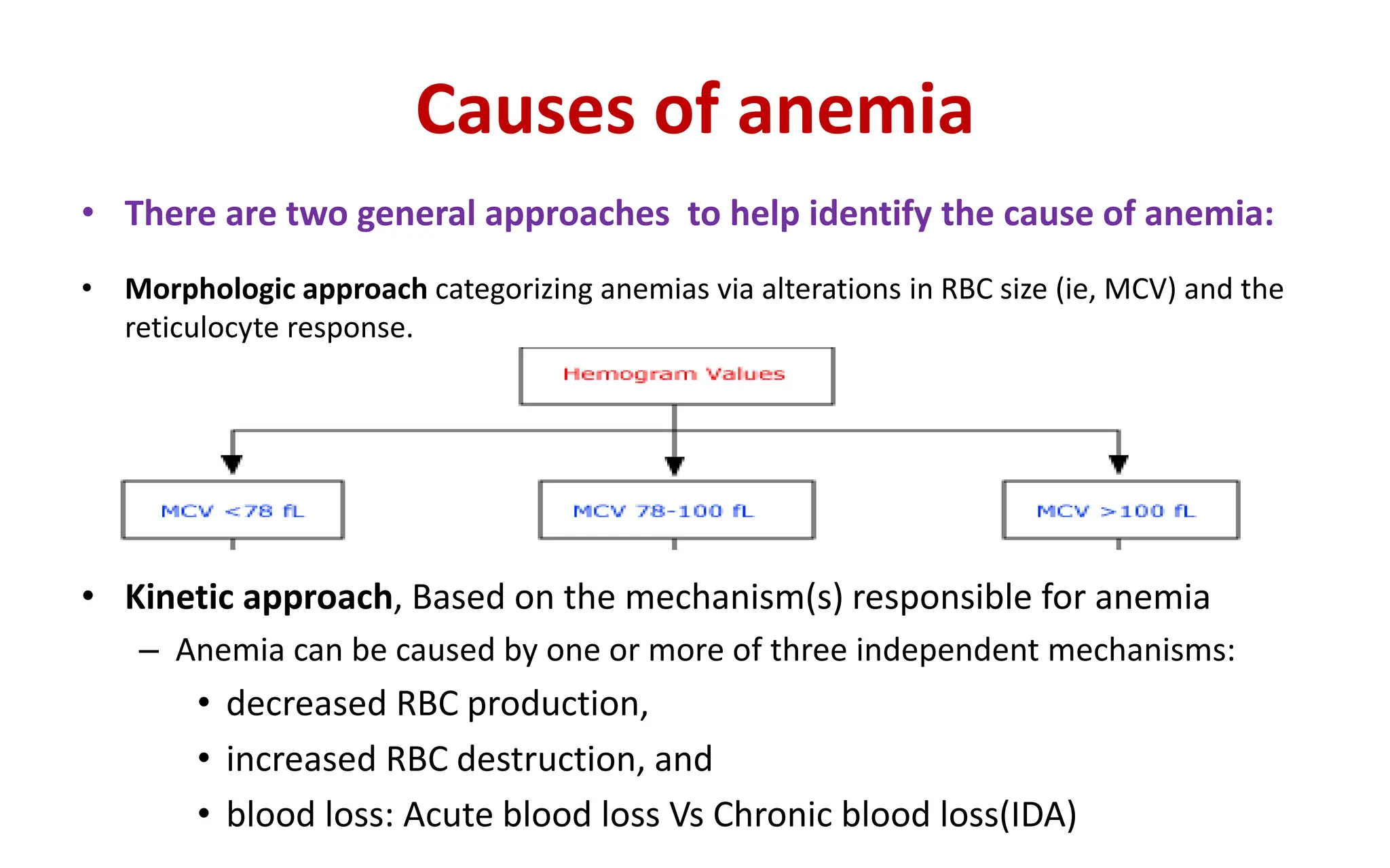 Approach to anemia to C1-2024.........pdf