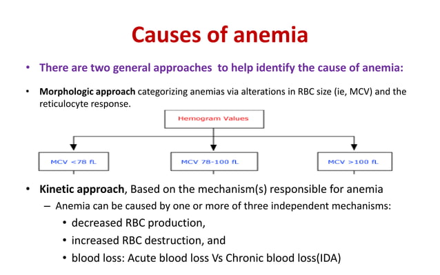 Approach to anemia to C1-2024.........pdf