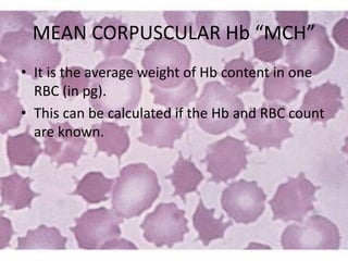 Approach to a neonate | PPTX