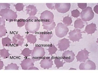 Approach to a neonate | PPTX