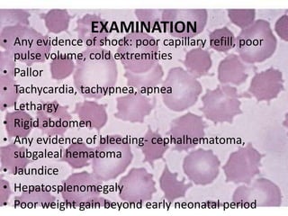 Approach to a neonate | PPTX