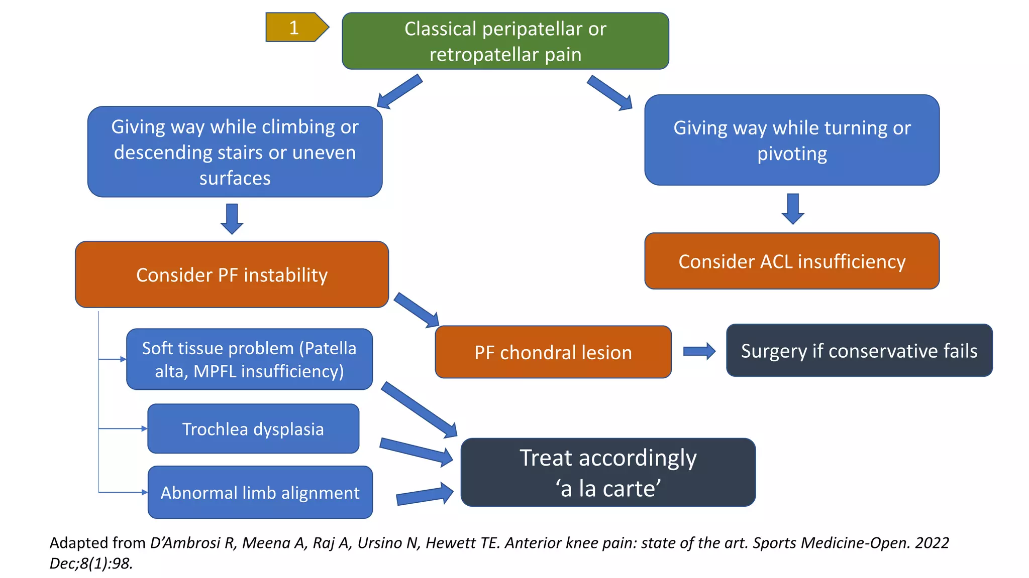 Approach to anterior knee pain.pptx