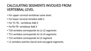 Approach to a patient of spastic paraplegia | PPTX