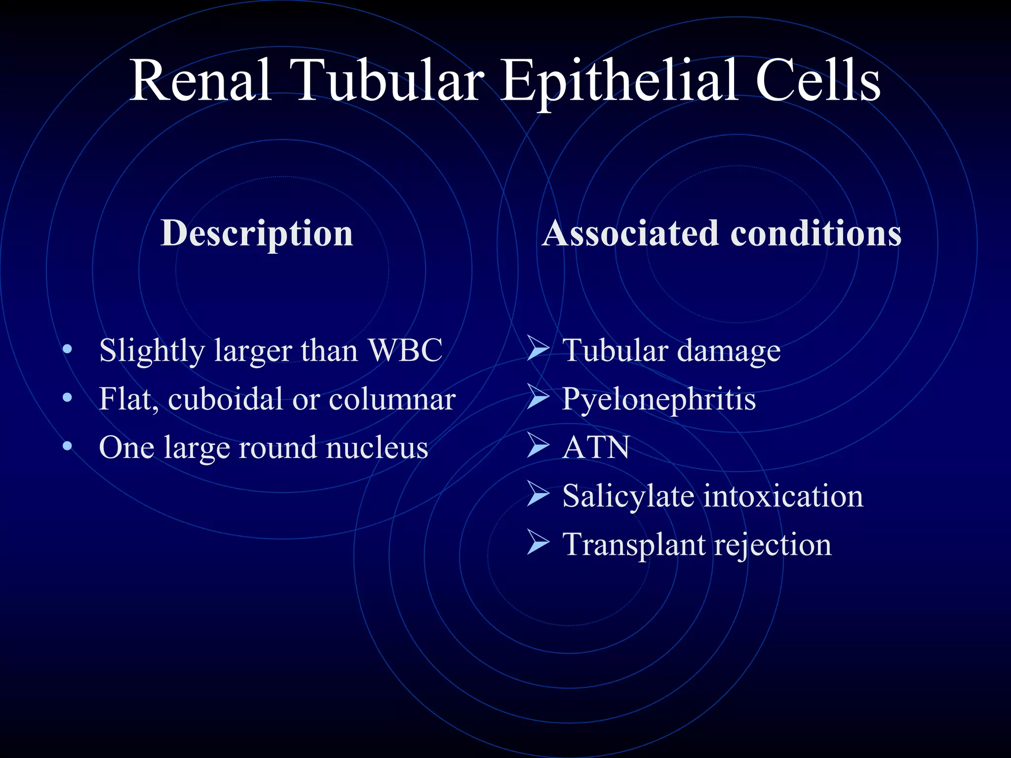Approach to a patient with active urinary sediments | PPTX