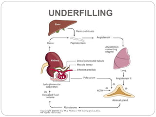 Approach to a patient with ascites | PPTX