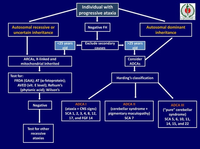 Approach to a Patient with Ataxia | PPTX | Brain and Nervous System ...