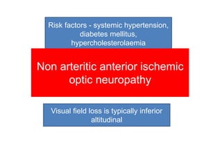 Approach to a patient with bilateral vision loss | PPTX