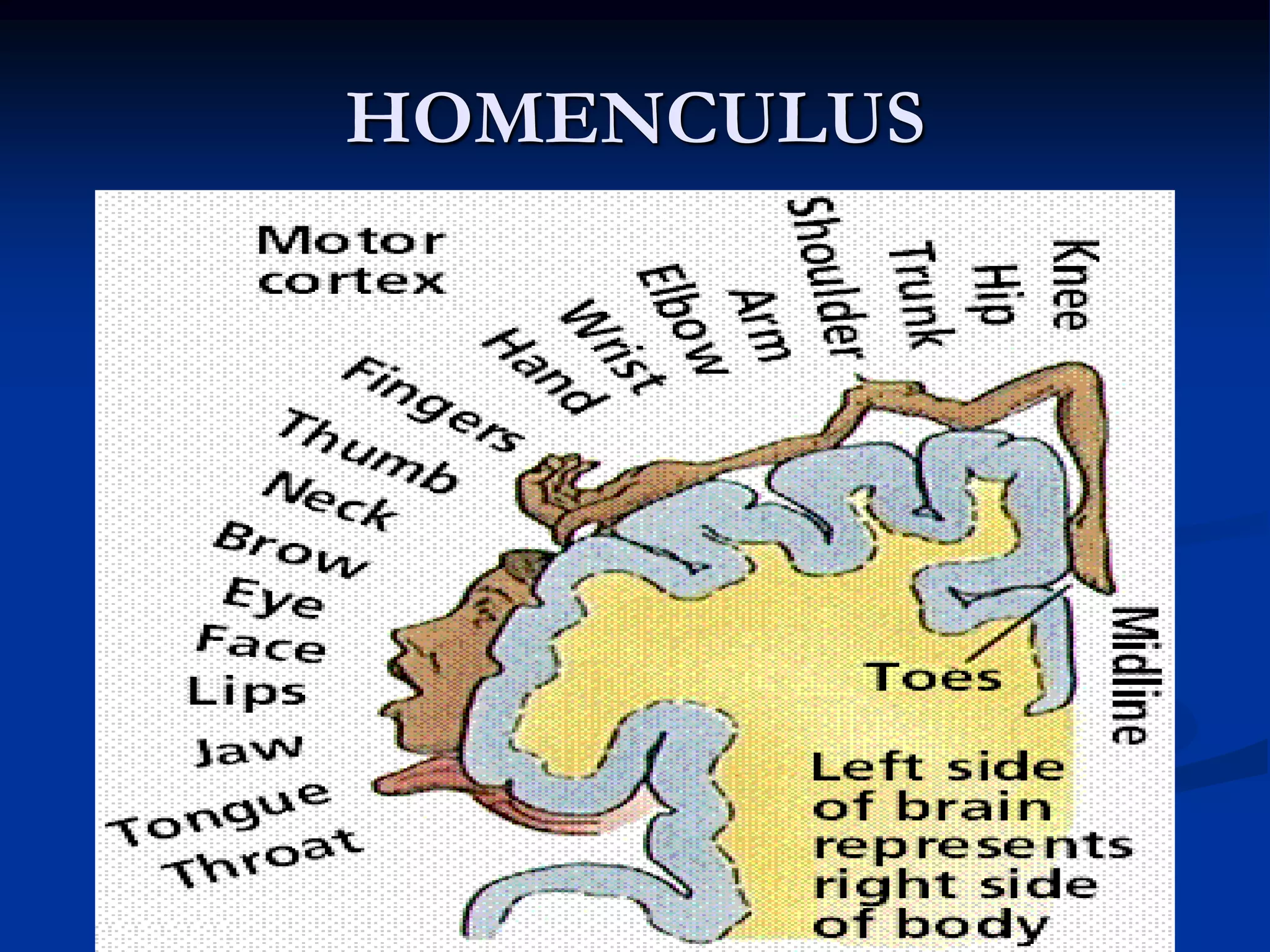 Approach to a patient with CNS disease | PPT