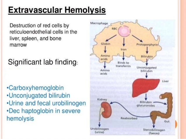 Approach to a patient with hemolytic anaemia