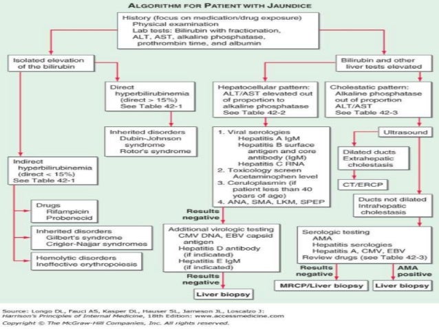Approach to a patient with jaundice