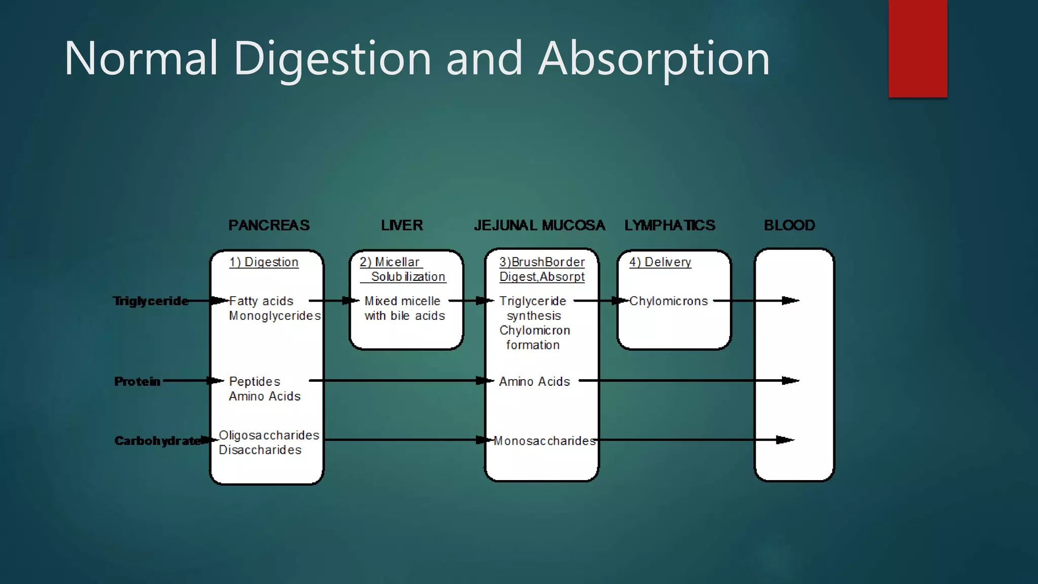 Approach to a patient with malabsorption | PPTX
